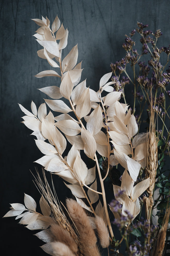 Grace Preserved Ruscus Dried Flower Bouquet / Dried Flower Store ...